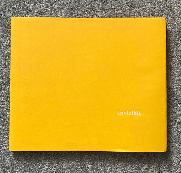 STEPHEN GILL: Invisible - dewi lewis publishing